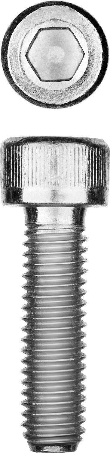 ЗУБР DIN 912 кл. пр. 8.8, М8 x 25 мм, винт свнутренним шестигранником, цинк, 5 кг, Профессионал (30318-08-025)