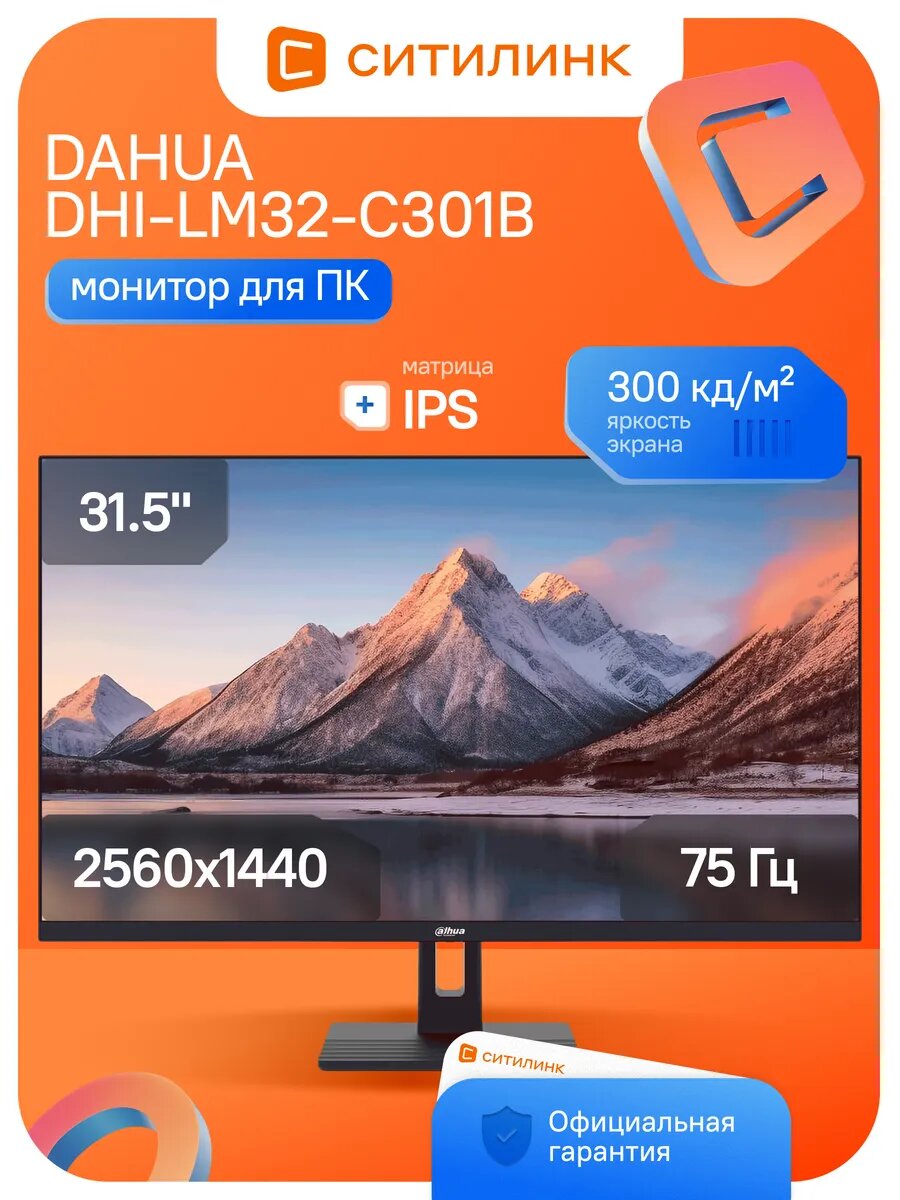 Монитор Dahua 31.5" DHI-LM32-C301B черный