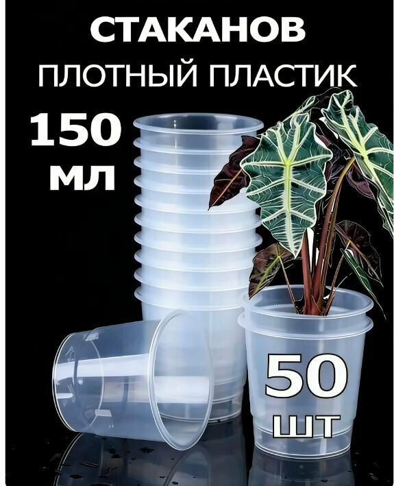 Стаканы одноразовые пластиковые, прозрачные 150мл для напитков, соков, рассады, черенков, суккулентов, фиалок