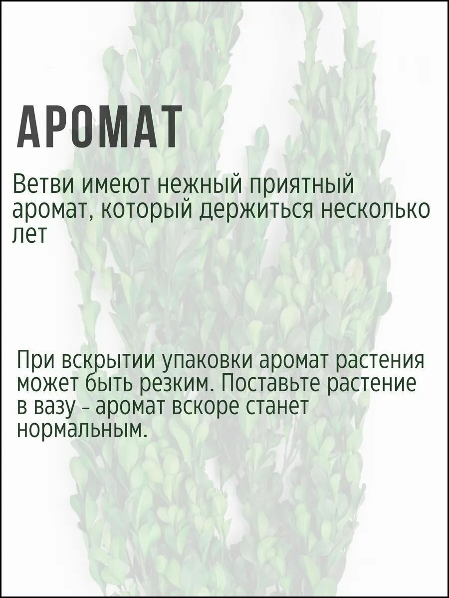 Стабилизированные цветы — фото 1