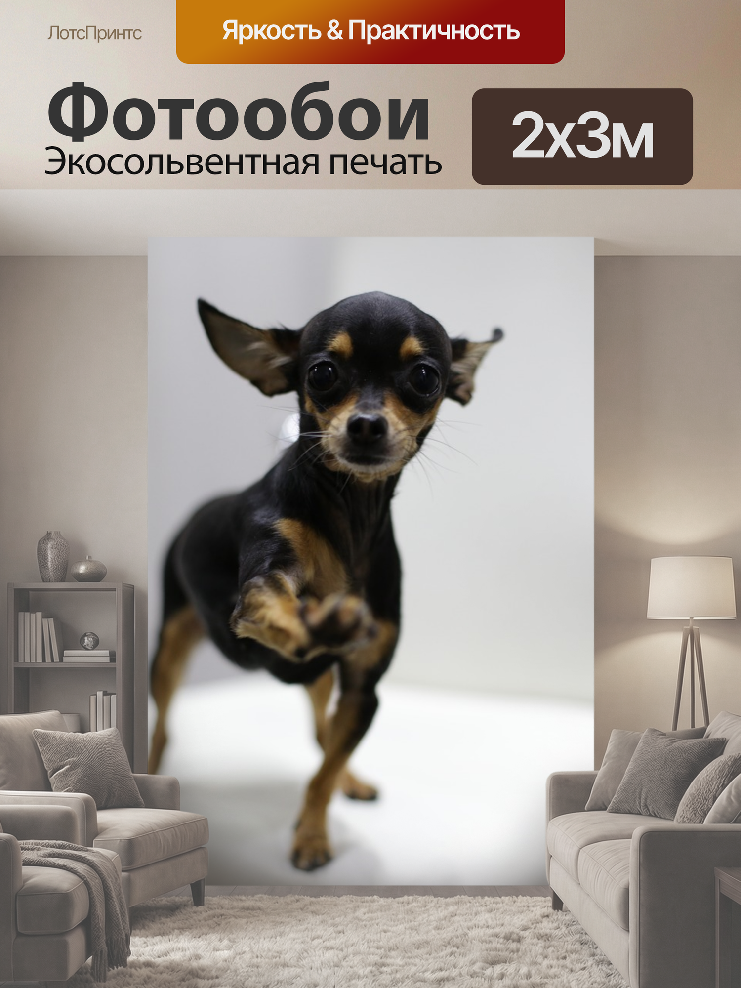 Фотообои "Собака, той-терьер, домашние питомцы" 200x300 см. экосольвентная печать