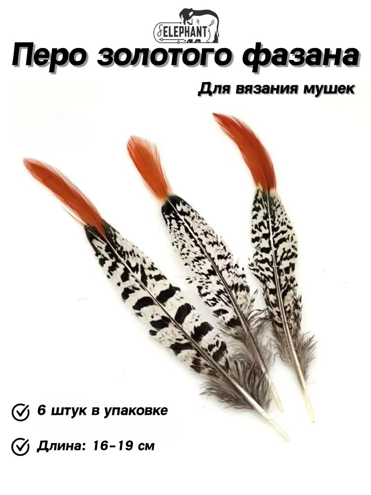 Медно-красное перо золотого фазана для вязания мушек, 16 19 см, 6 шт.