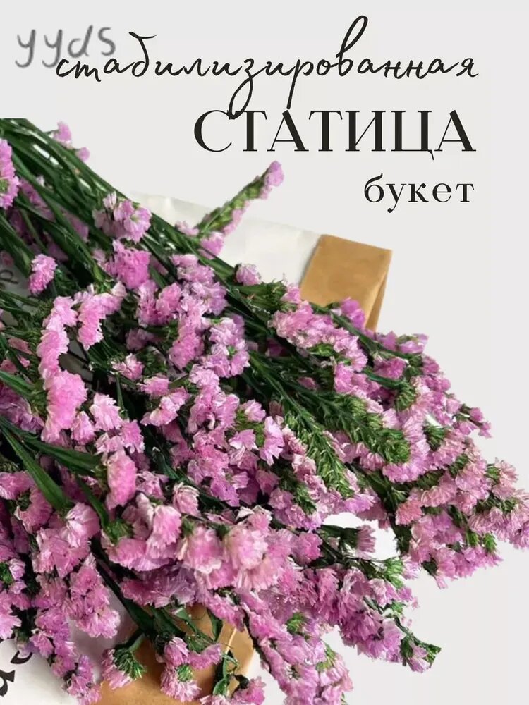 Сухоцветы Незабудка, 50 см, 105 гр, 1 шт