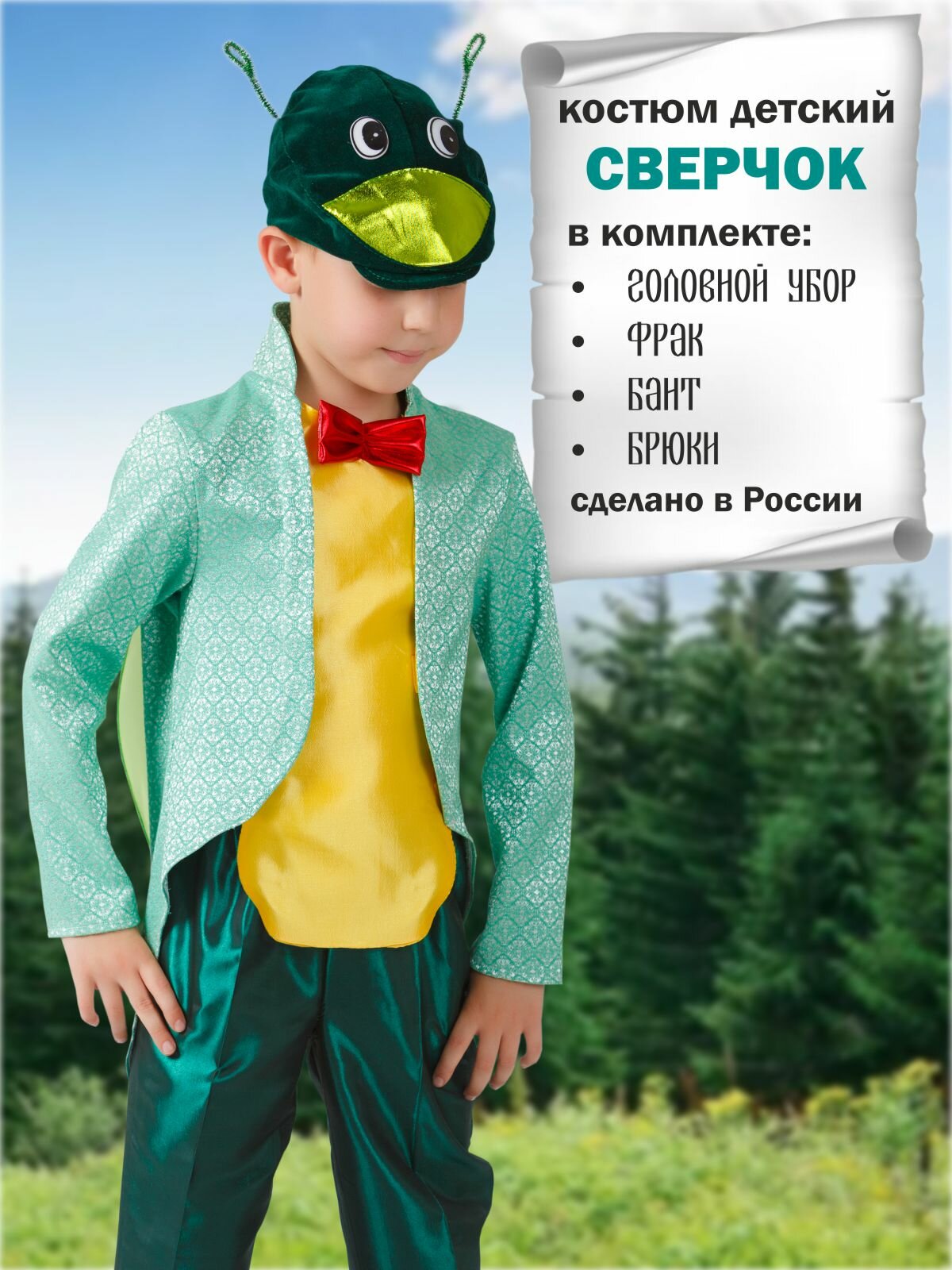 Карнавальный костюм детский Сверчок