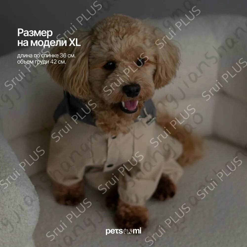 Дождевик для собак / водоотталкивающий комбинезон для собак малых и средних пород
