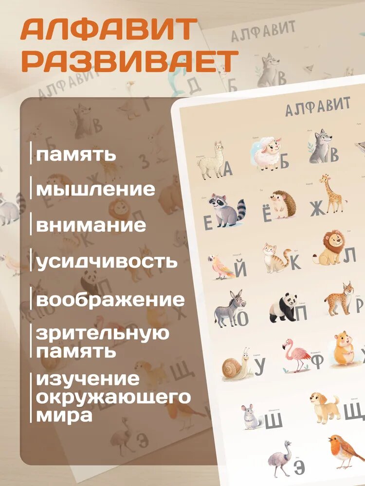 Обучающий плакат Алфавит детский на стену, яркие буквы, бежевый/белый/кремовый/бирюзовый, бумага — фото 1