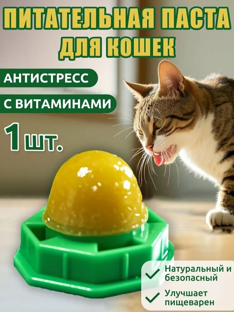 Леденец для кошек, шарик с кошачьей мятой,1 шт, вкусные игрушечные мячики с курицей и витаминами для кошек