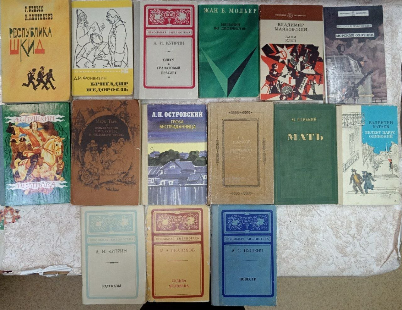 Школьная библиотека: Твен. Мольер. Пушкин. Островский. Фонвизин. Куприн. Катаев. Шолохов и другие (комплект из 15 секонд-хенд книг)