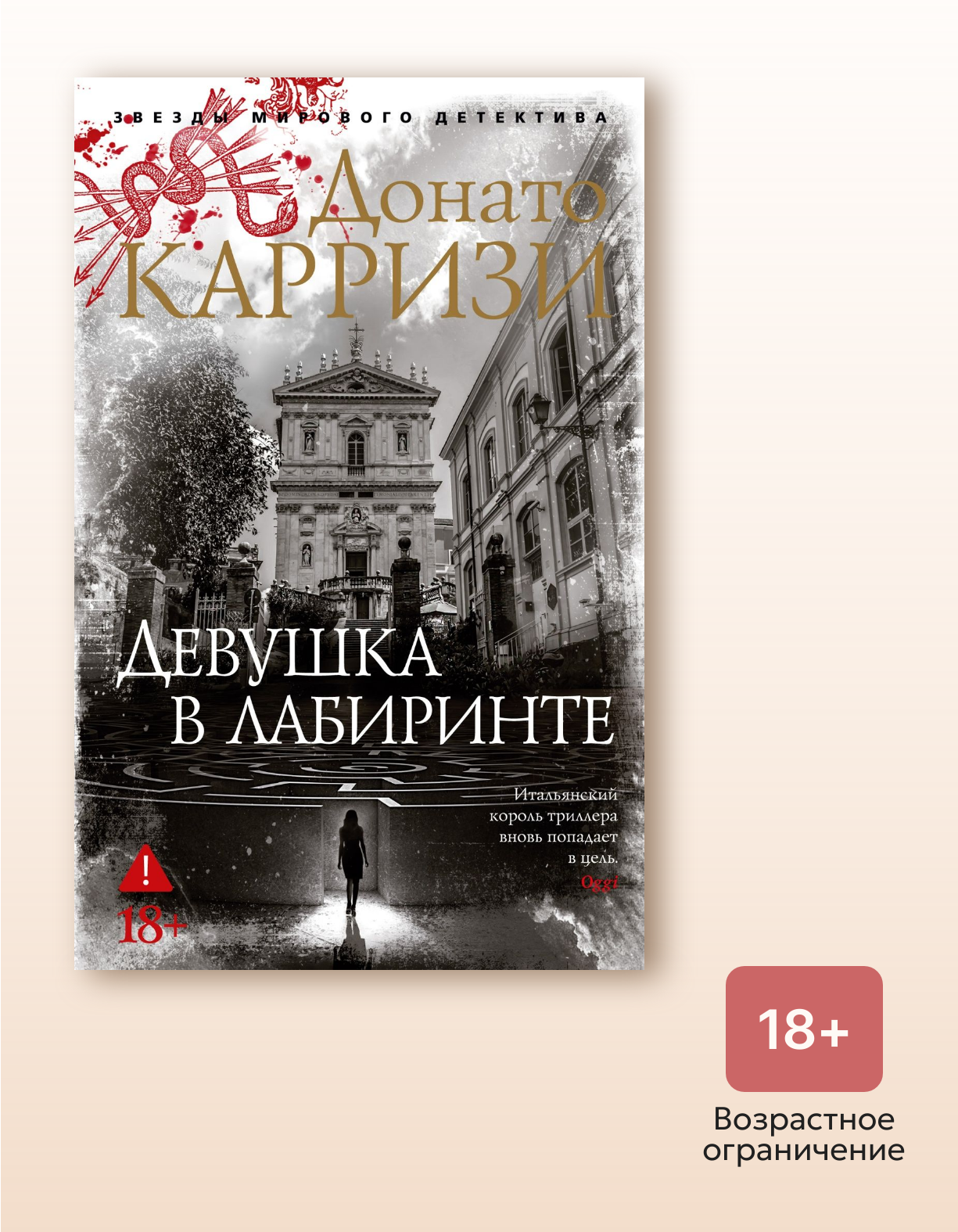 Книга "Девушка в лабиринте", автор Карризи Д, издательство Азбука