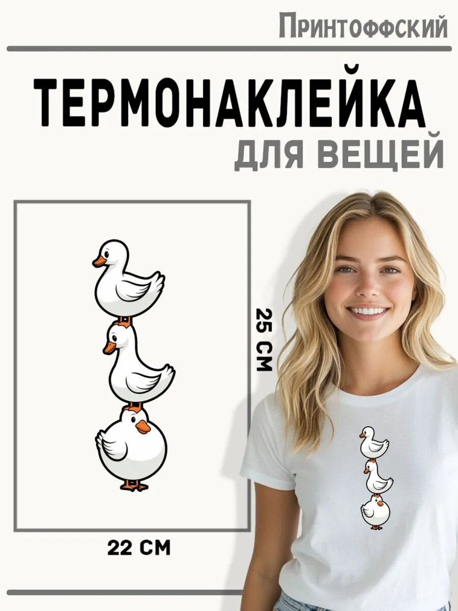Термонаклейка для одежды и аксессуаров DTF-печать Утки — фото 1