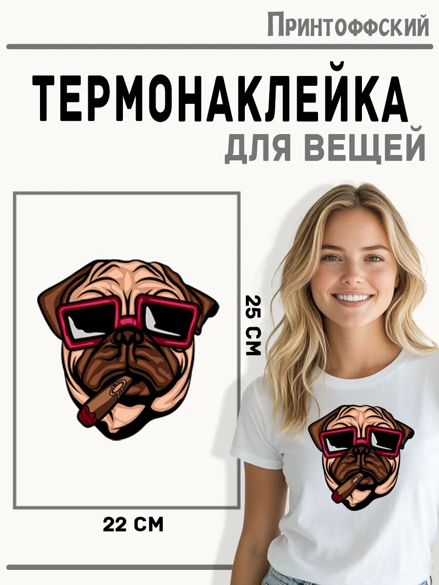 Термонаклейка для одежды и аксессуаров DTF-печать морда мопса — фото 1