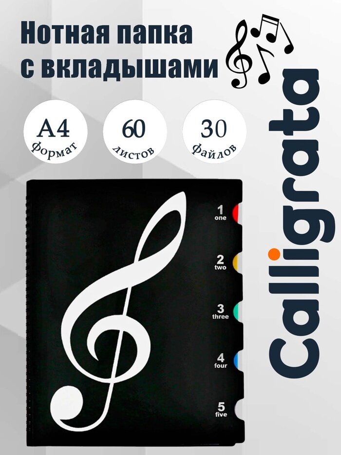 Нотная папка - 30 файлов 60 листов черная