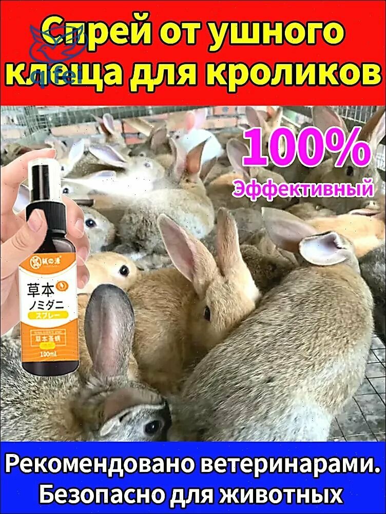 Спрей от ушных клещей для кошек, собак и кроликов