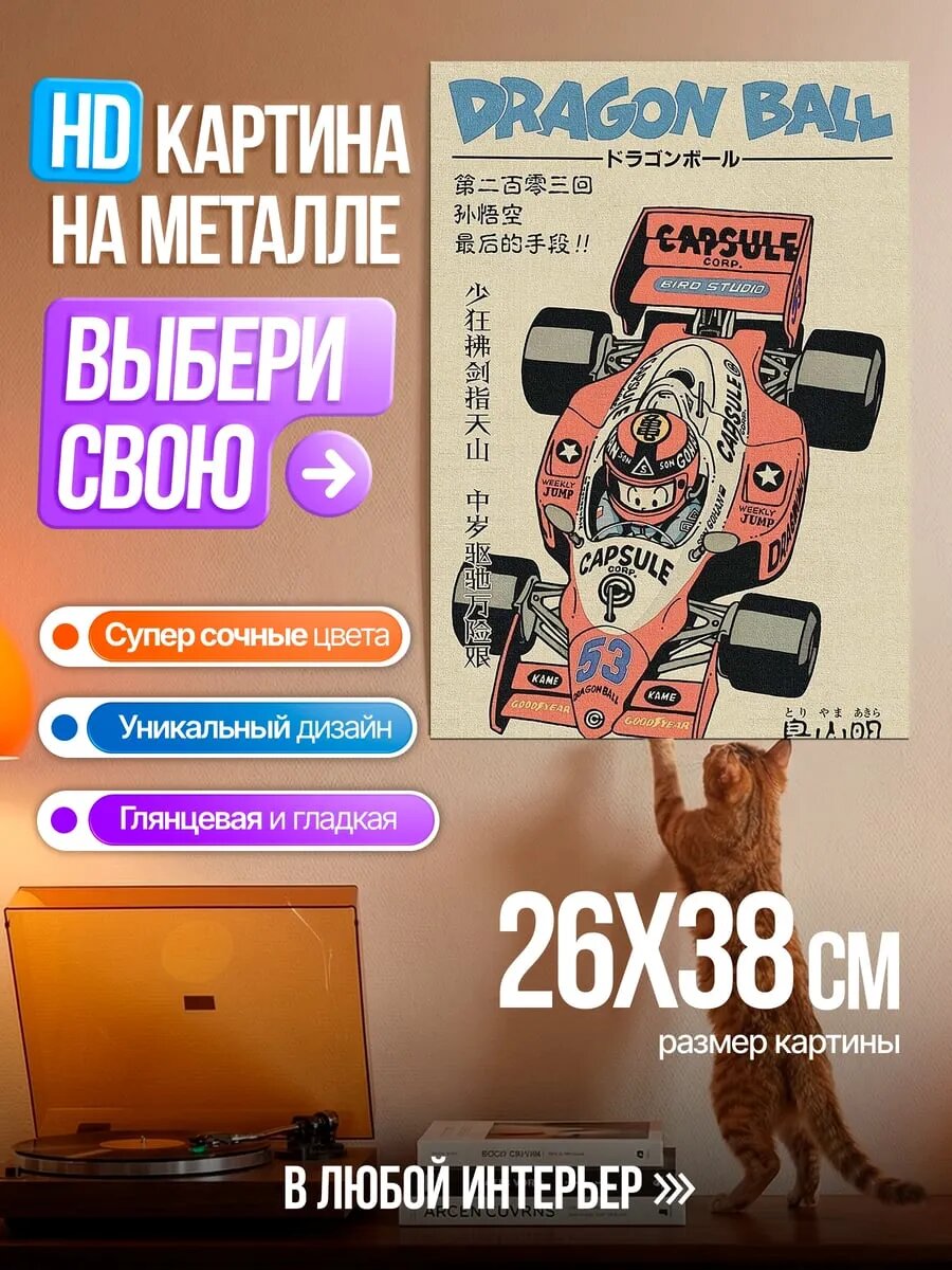 Картина на HD металле Гонка Dragon Ball
