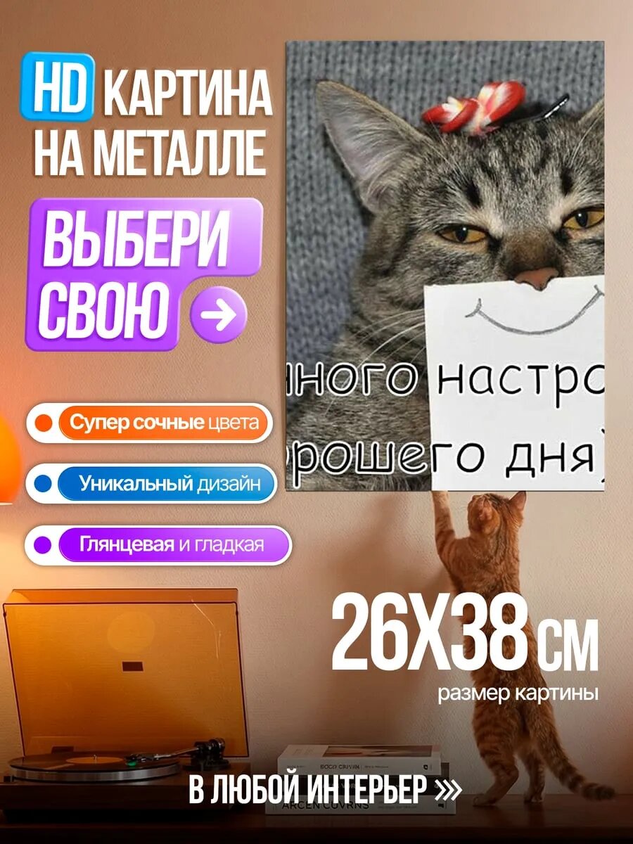 Картина на HD металле Кот отличного настроения