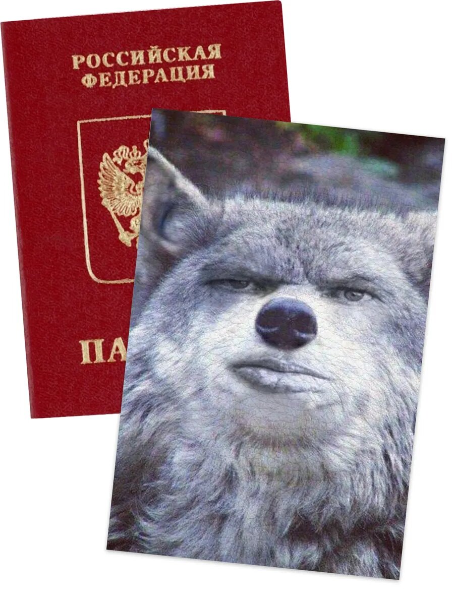 Обложка для паспорта