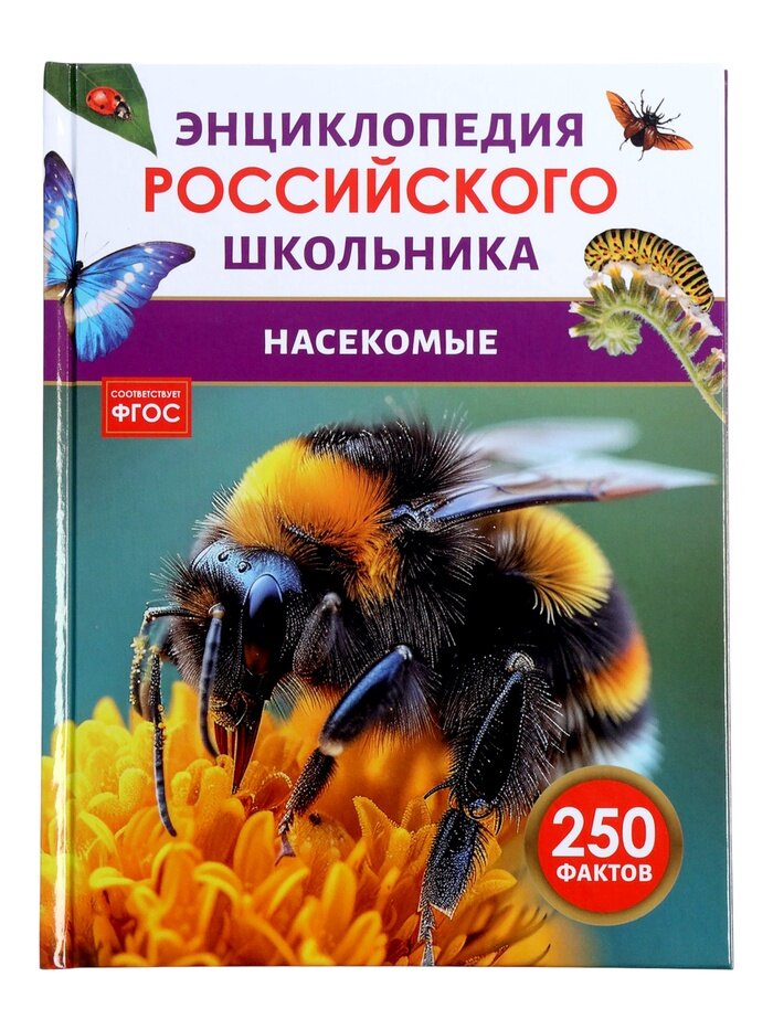 Энциклопедия российского школьника «Насекомые»