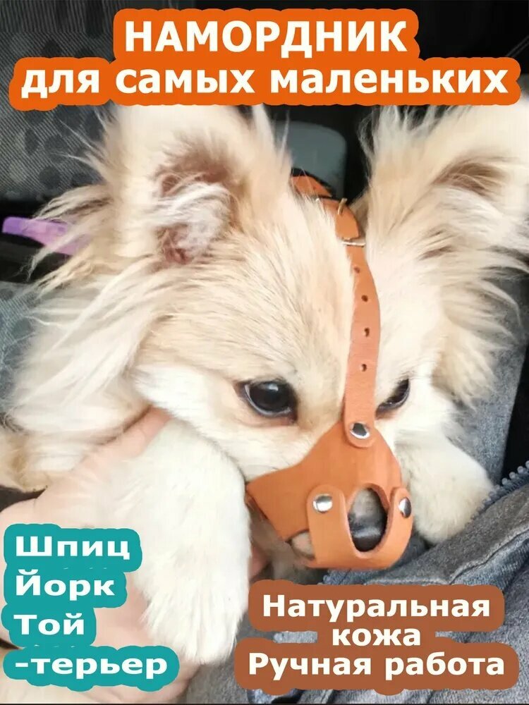 Намордник для собак мелких пород Не травмирует полость рта 1