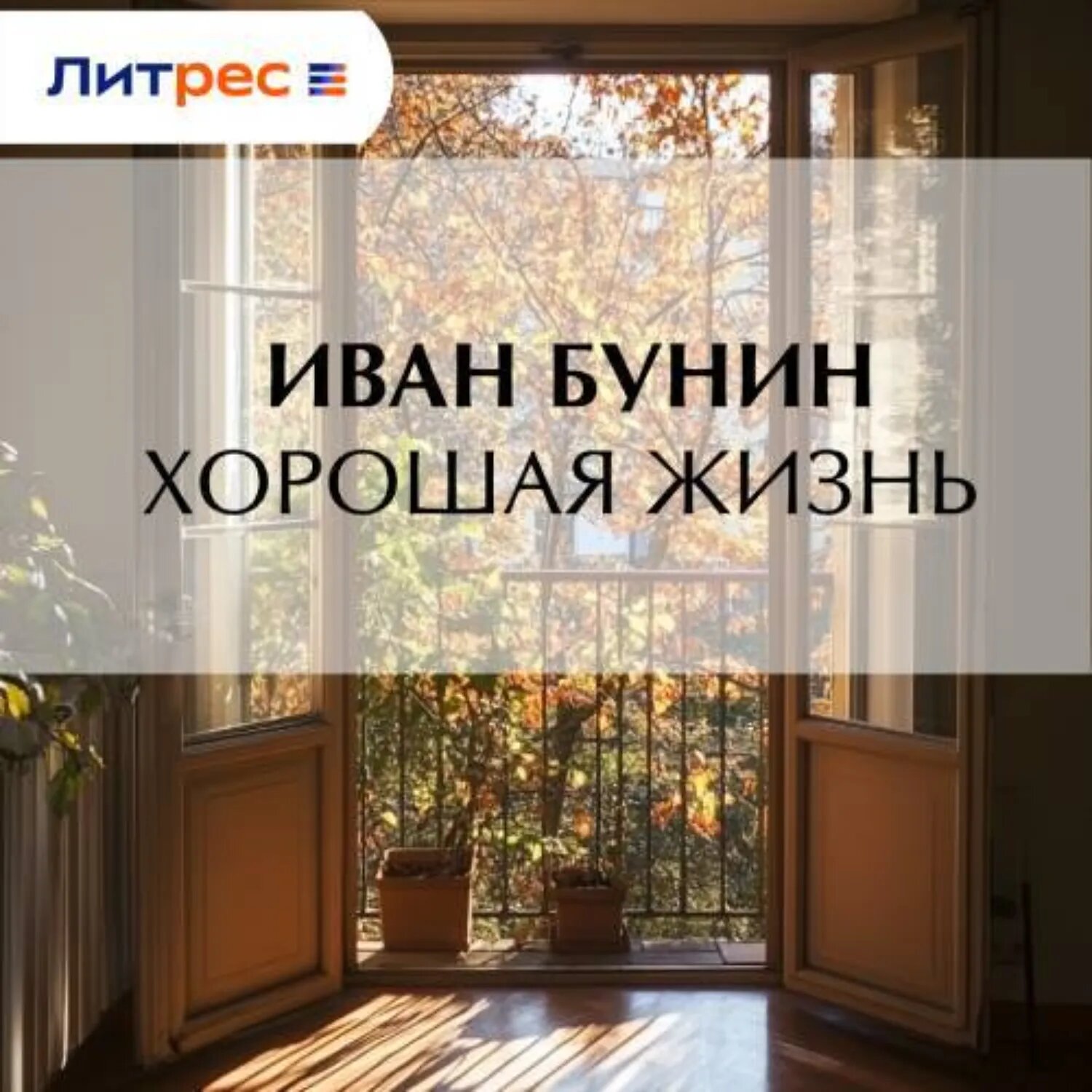 Хорошая жизнь [Аудиокнига]