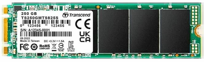 Внутренний SSD-диск Transcend TS250GMTS825S 250 ГБ