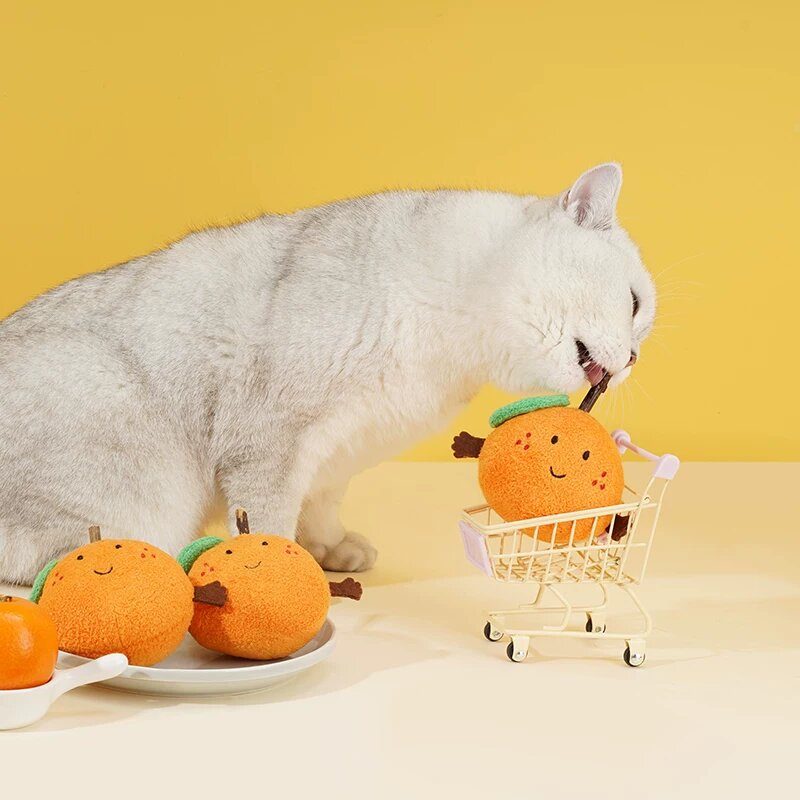 Оранжевый котенок с котовьим мятой и деревянным танжерином для игры и жевания