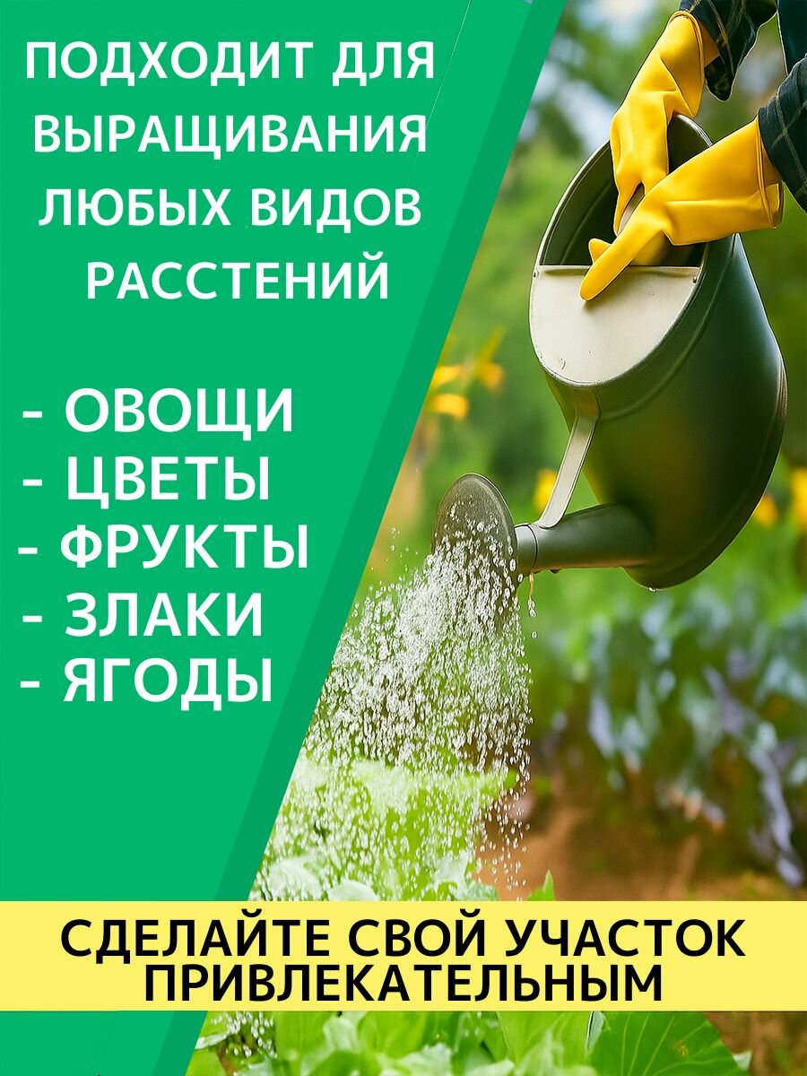 Грядка — фото 1