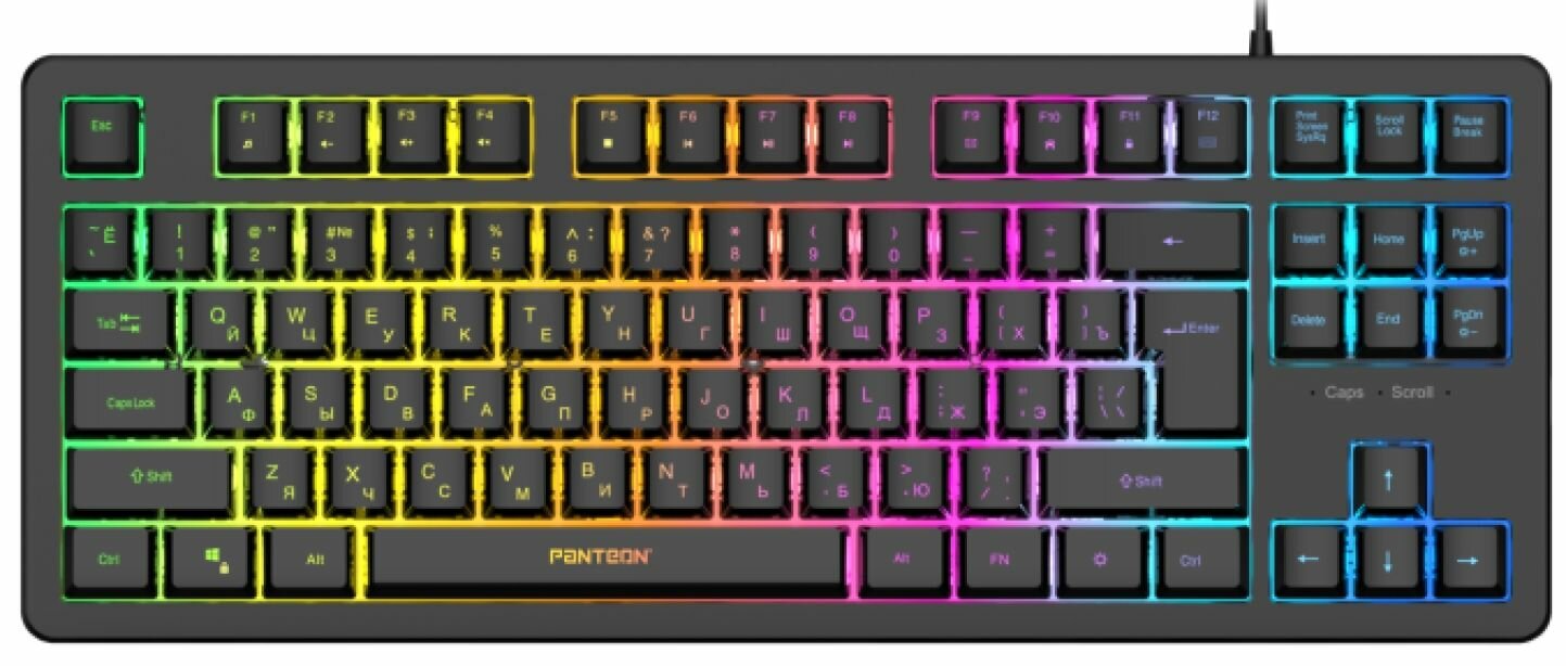 Клавиатура PANTEON RAINBOW M170 с LED-подсветкой черная (87кл)