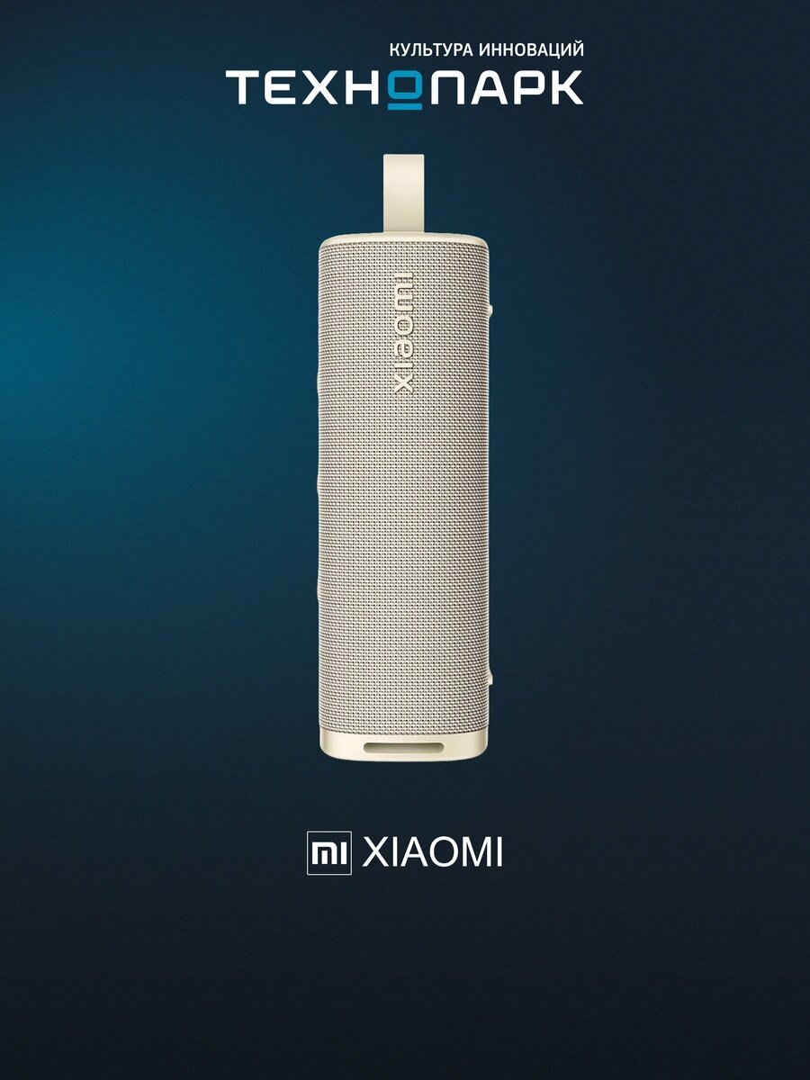 Портативная акустика Xiaomi Sound Outdoor S29H-GL (QBH4370GL) золотой