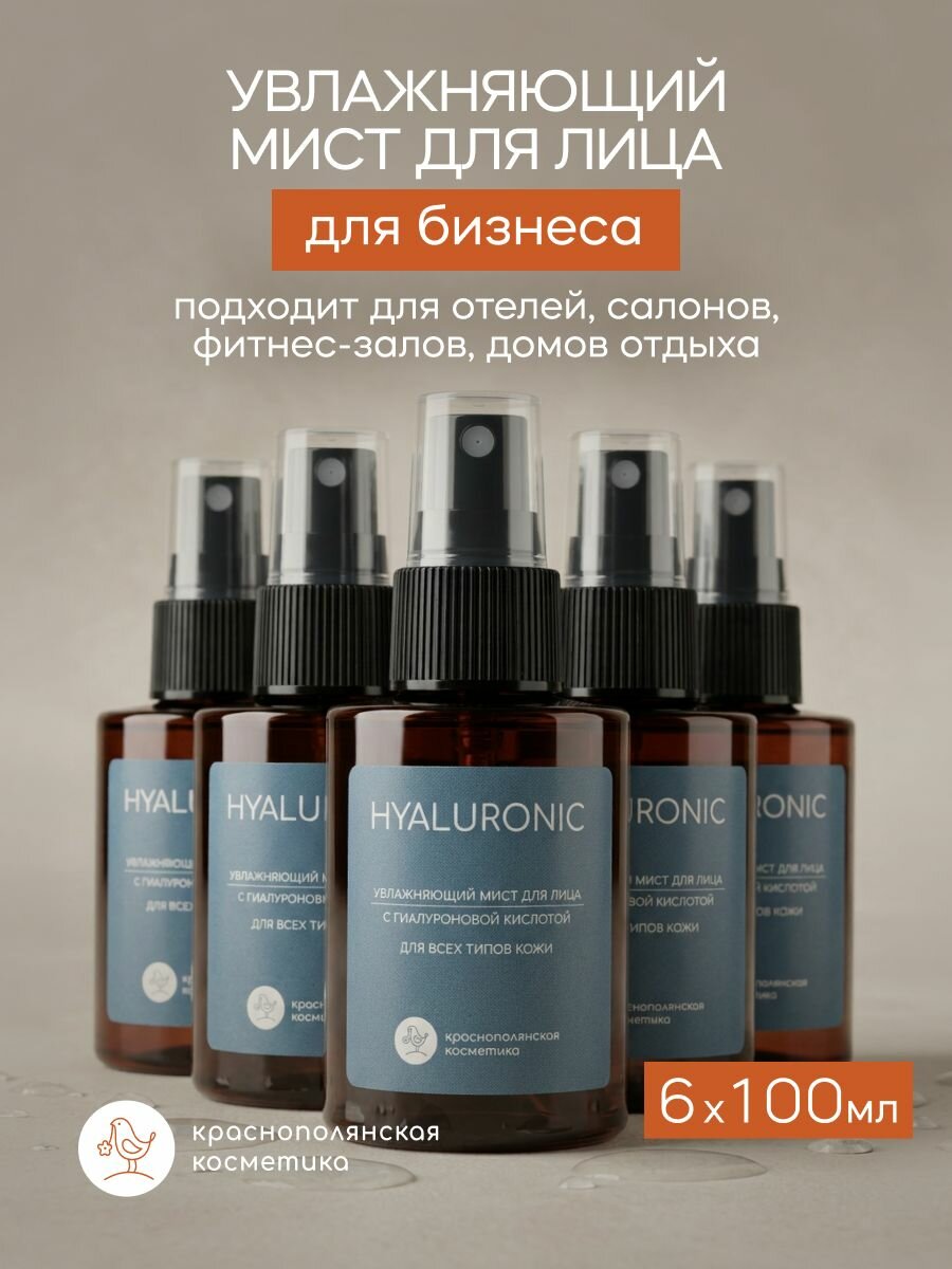 Набор Спрей для тела и волос, мист для лица с гиалуроновой кислотой HYALURONIC, для бизнеса, 100 мл, 6 шт. HoReCa