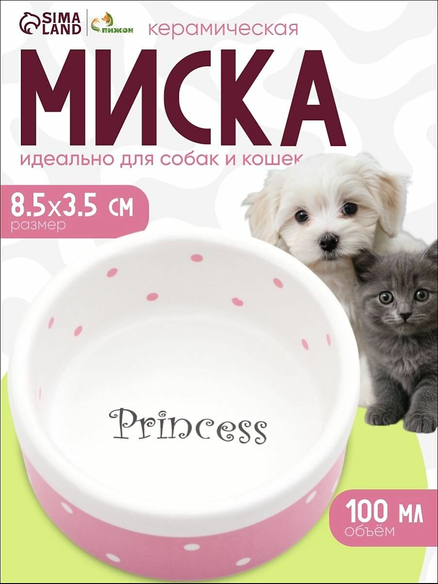 Миска Пижон "Princess", керамика, малая, дорожная, интерактивная, для кошек, собак