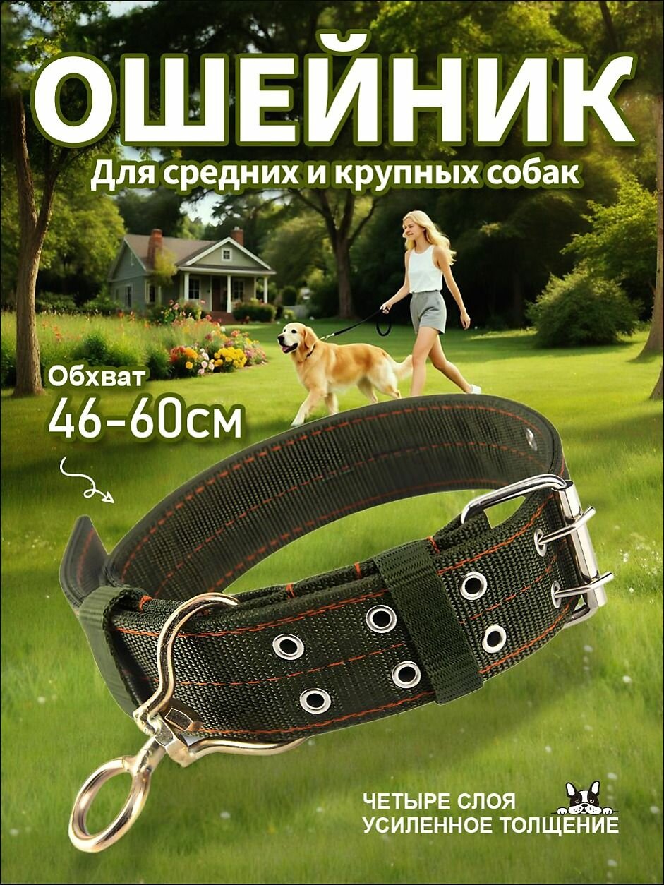 Ошейник для собак, нейлон, влагозащитный, строгий, обхват шеи 46-60 см