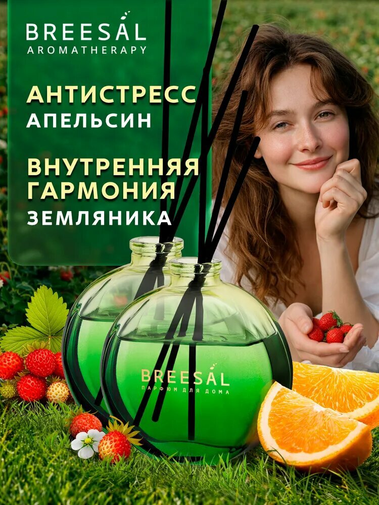 Диффузор ароматический для дома, ароматизатор с палочками Breesal Arome Sticks Антистресс , Гармония, 70 мл х 2 шт