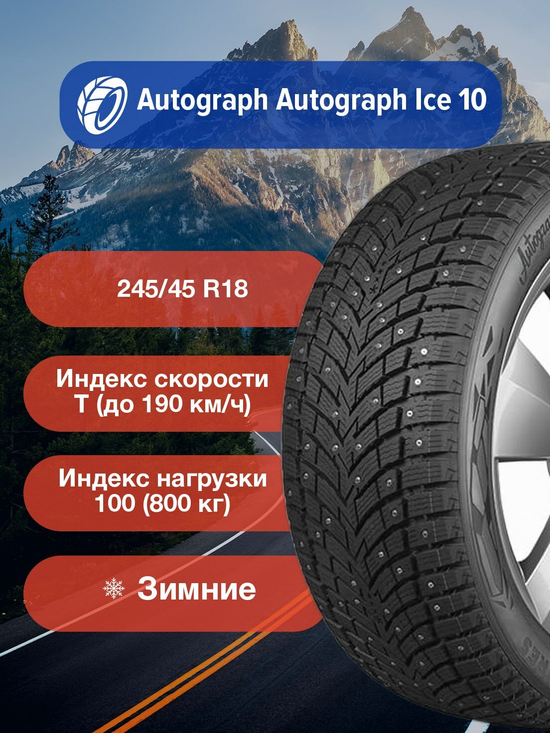 Легковые Зимние Шины Ikon Autograph Ice 10 245/45 R18 100T-TS78120 для легковых автомобилей и кроссоверов