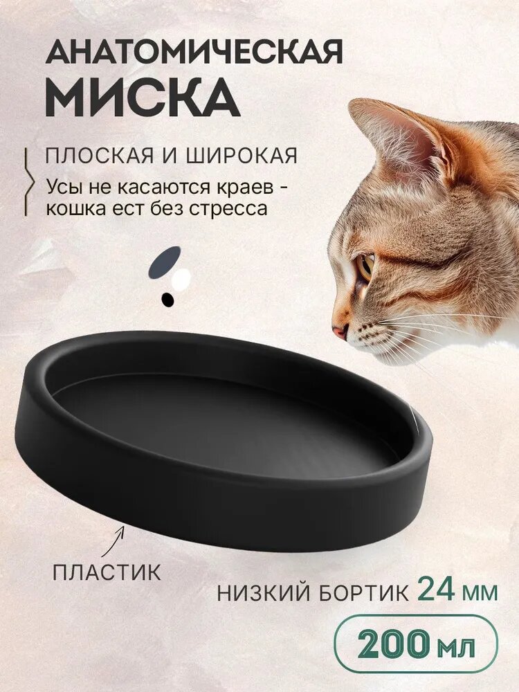 Пластиковая миска для кошек плоская широкая черная 200 мл для котят собак мелких пород и грызунов