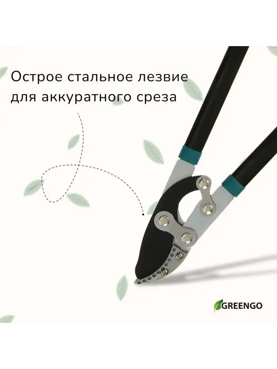 Профессиональный сучкорез 31 дюйм для высокой обрезки