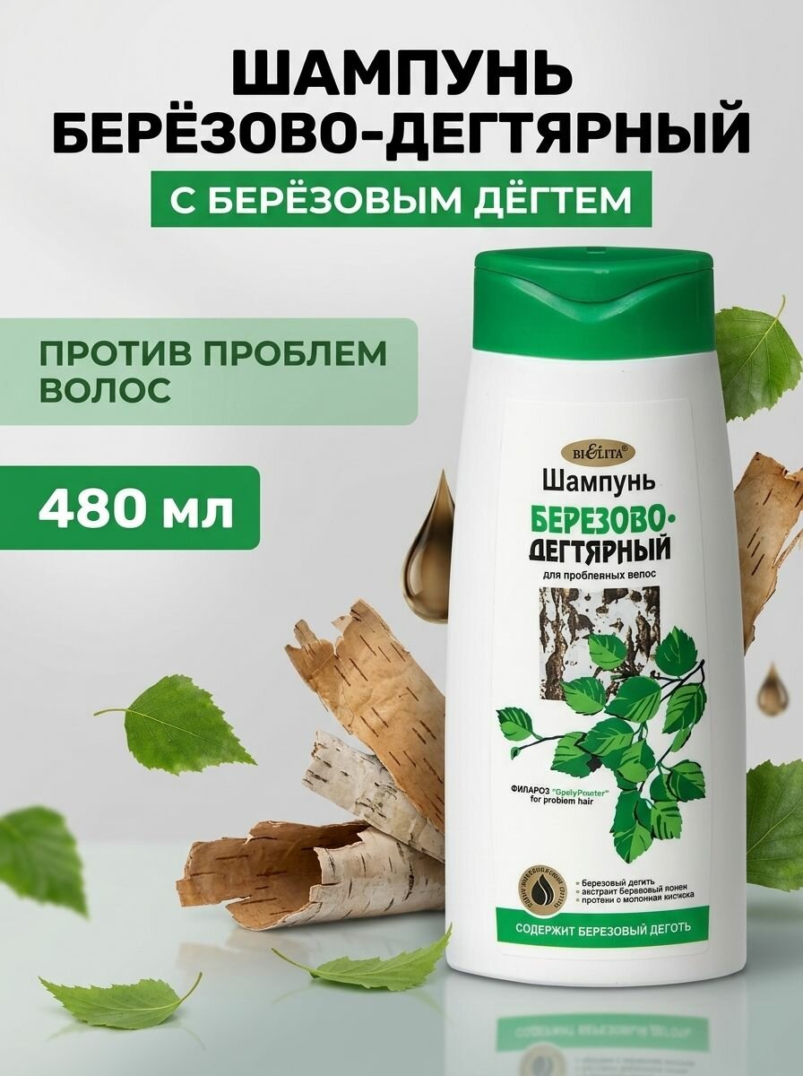 Шампунь Берёзово-дегтярный для проблемных волос, 480 мл
