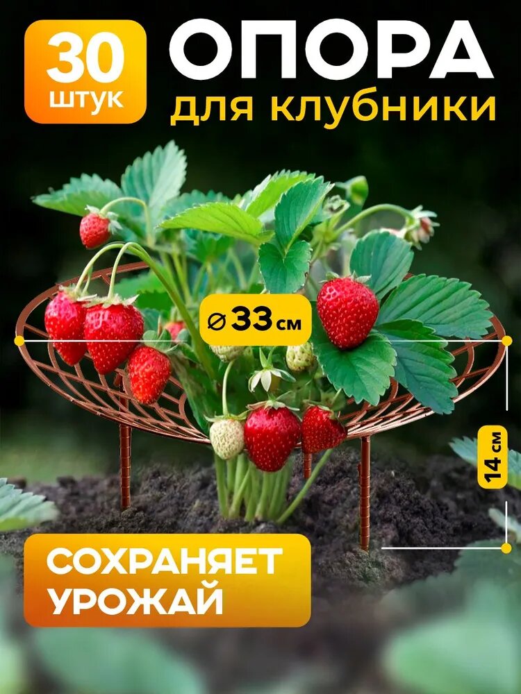 Подставка для клубники коричневая, 30 шт, опора для растений садовых, кустодержатель, подставка для цветов