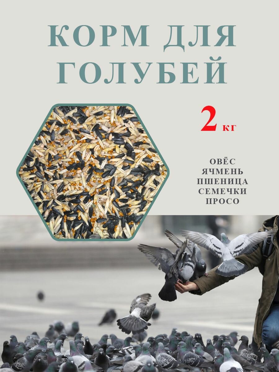 Корм для голубей