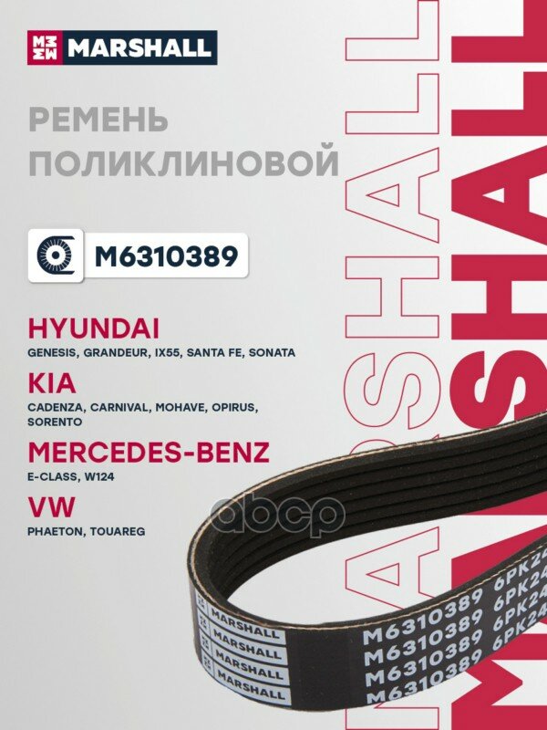 Ремень поликлиновой MARSHALL арт. M6310389
