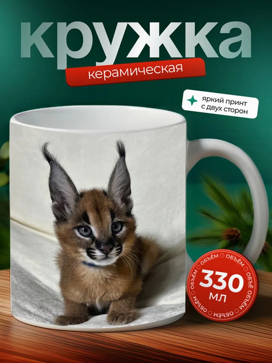 Кружка Маврикийский коралл кот 25,