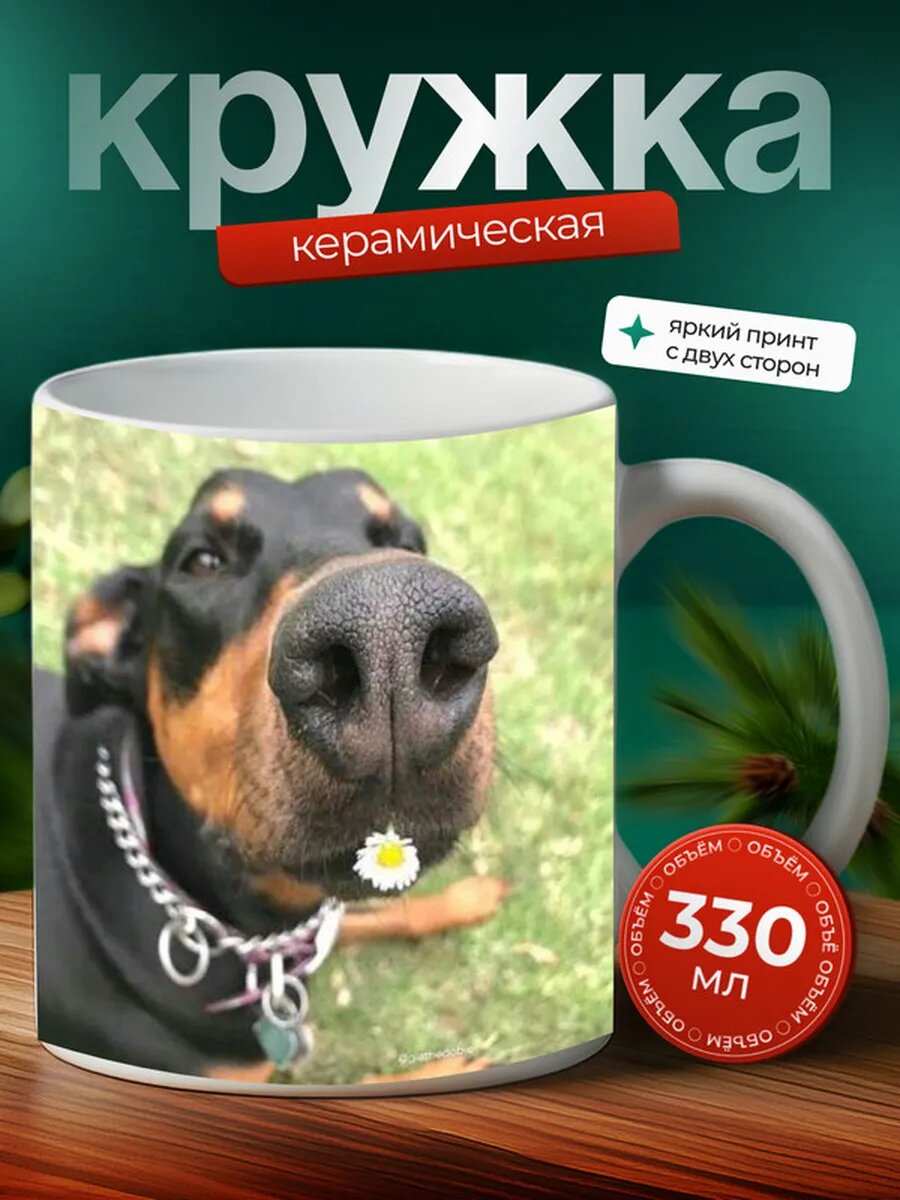 Кружка доберман с ромашкой