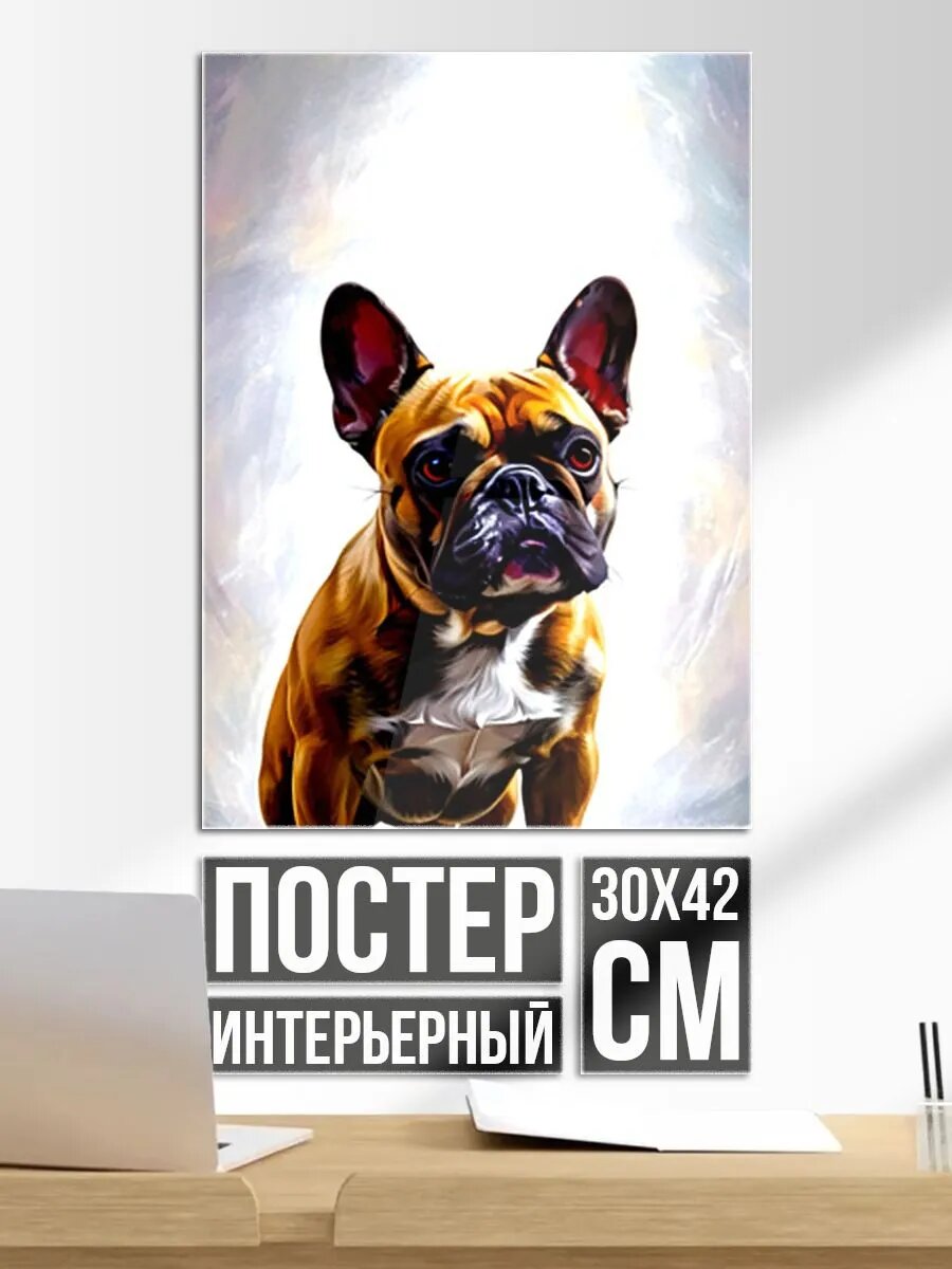 Постер на стену Рыжий французский бульдог