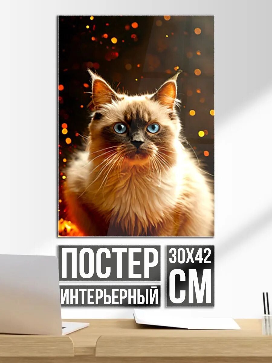 Постер на стену Рэгдолл в огне