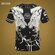 Futbolka philipp plein