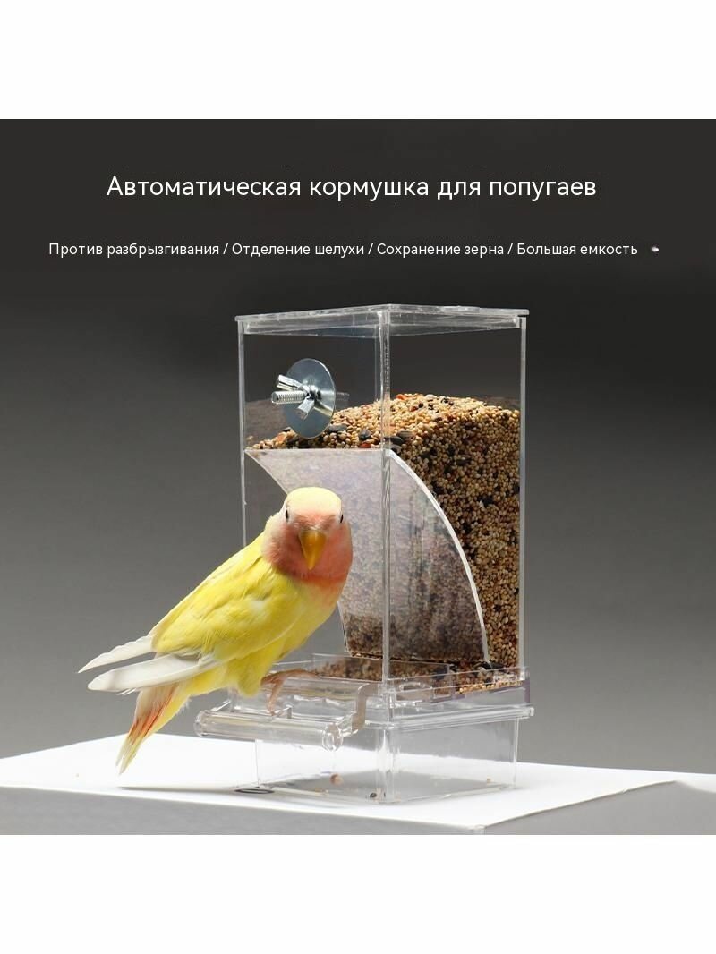Прозрачный питатель — фото 1