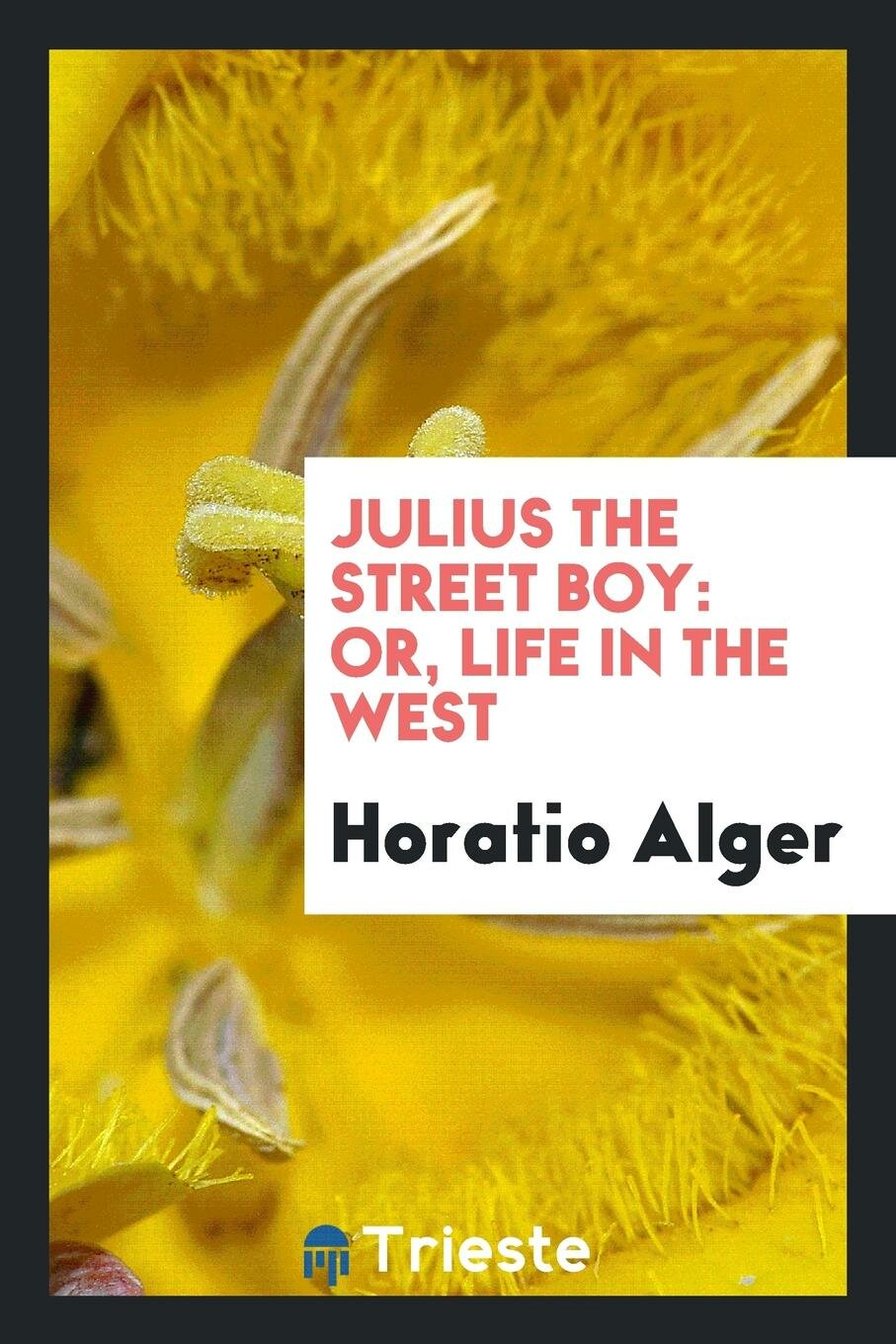 Julius the street boy. or, Life in the west
