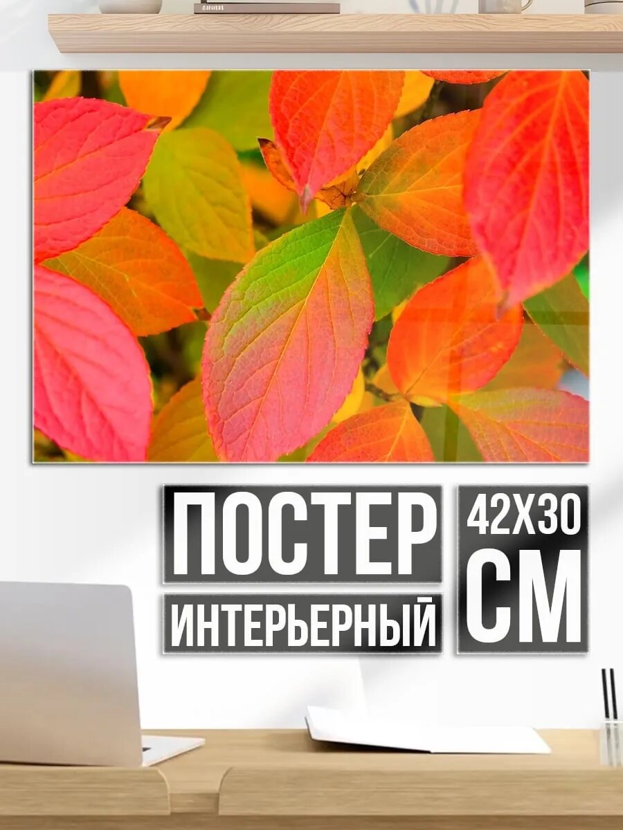 Плакат постер осенние листья в огне