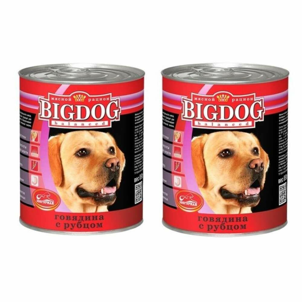 Зоогурман Корм консервированный Big Dog , для взрослых собак средних и крупных пород, с говядиной и рубцом , 850 г, 2 шт
