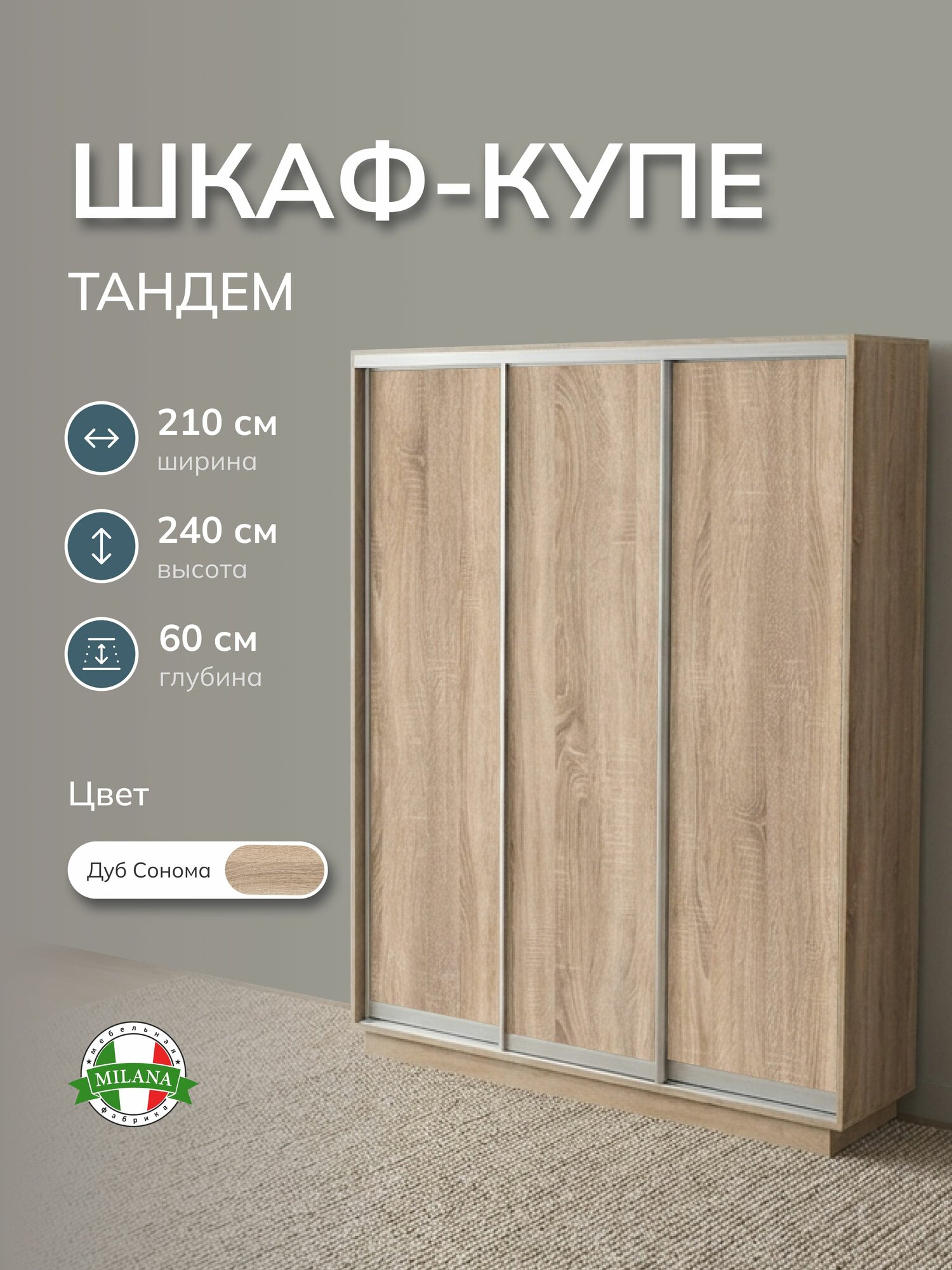Шкаф купе Тандем трехдверный, 210х240х60 см