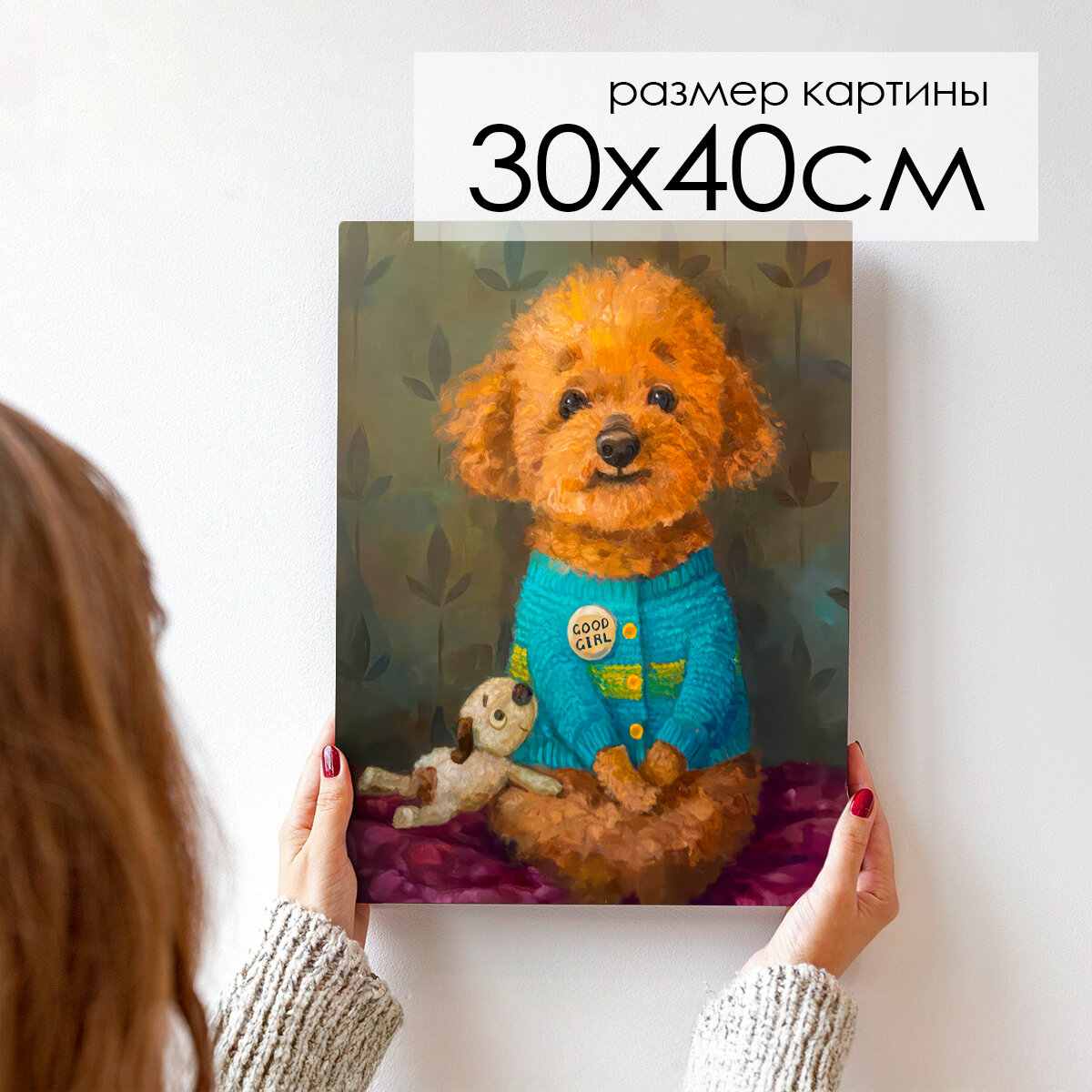 Мальтипу в свитере 30х40см - Картина интерьерная на стену. Постер на холсте - Той пудель / Собачка/ Пес. Элисон Френд